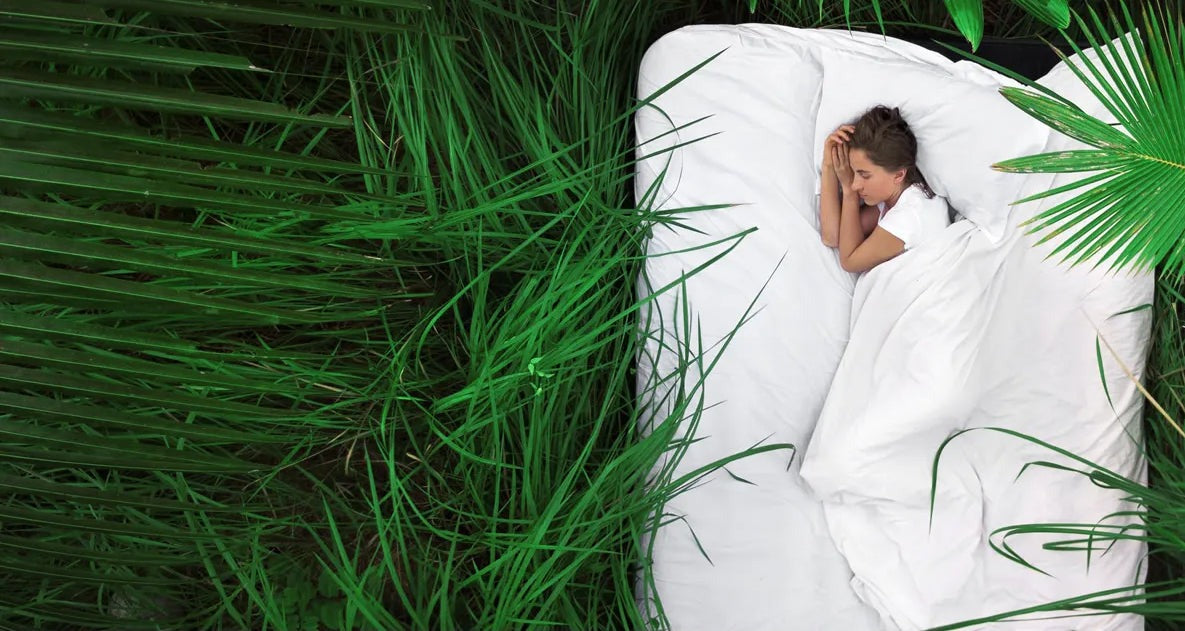 Discover Grounding's Healing Power: #1 Europe's Finest Products